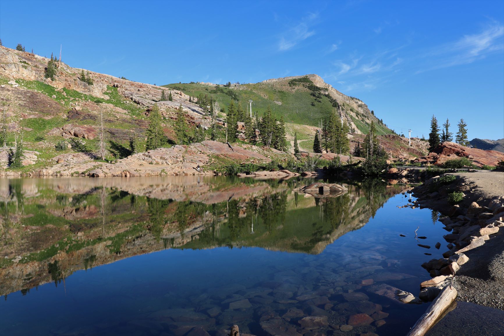 Camping in Albion Basin, Alta UT | Oui Chéri Lifestyle