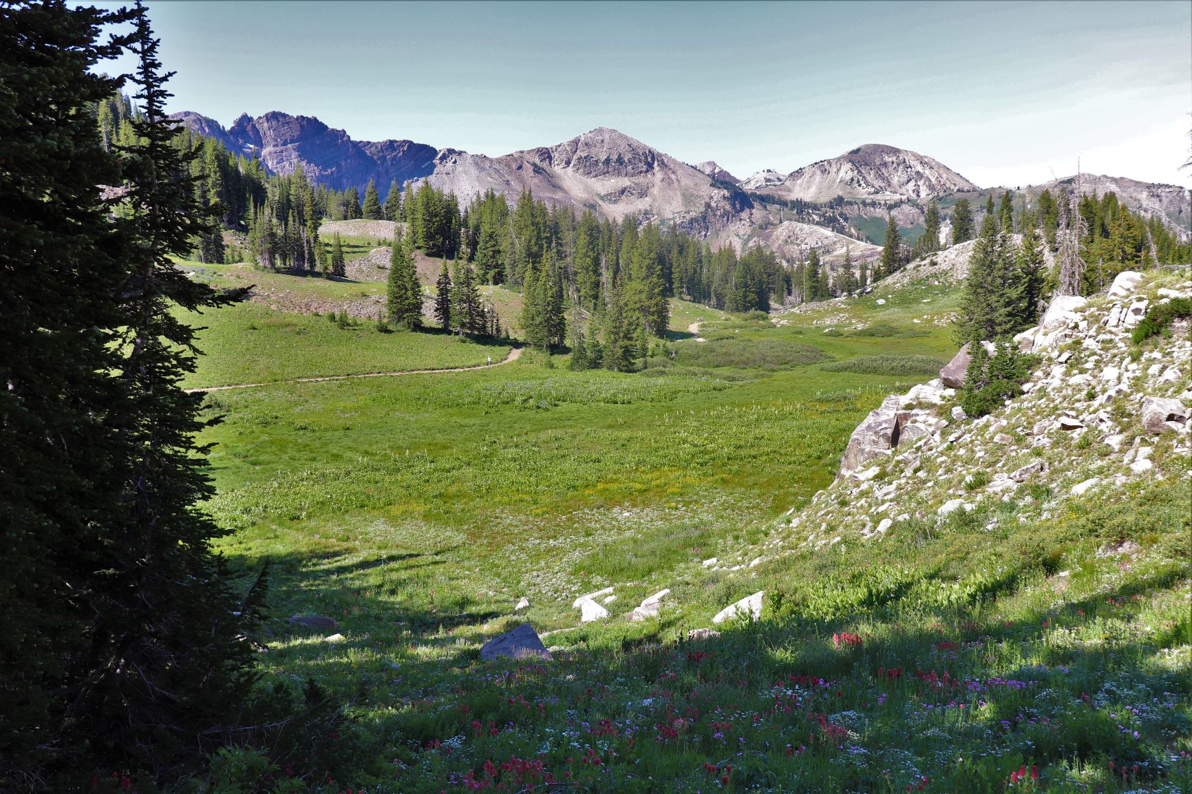 Camping in Albion Basin, Alta UT | Oui Chéri Lifestyle