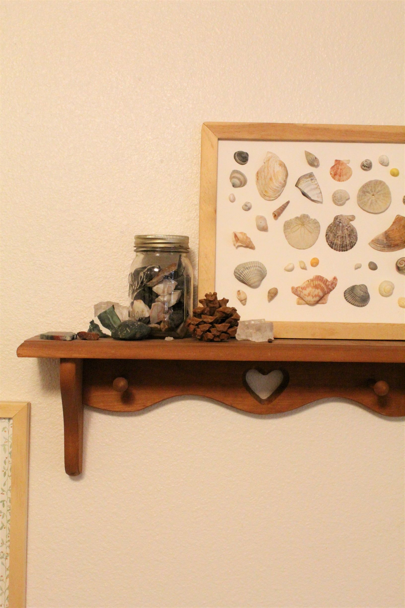 10 Creative ways to make your Home feel more “Nature-y” and bring on ...