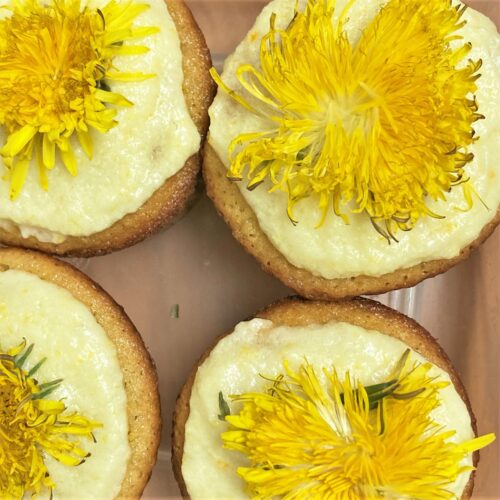Edible Dandelion Foraging & Recipe - Oui Chéri Lifestyle