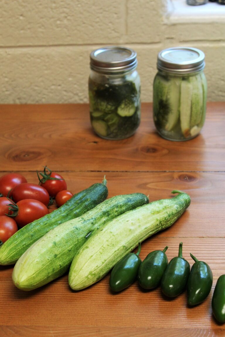 The Best Crunchy Refrigerator Dill Pickles - Oui Chéri Lifestyle